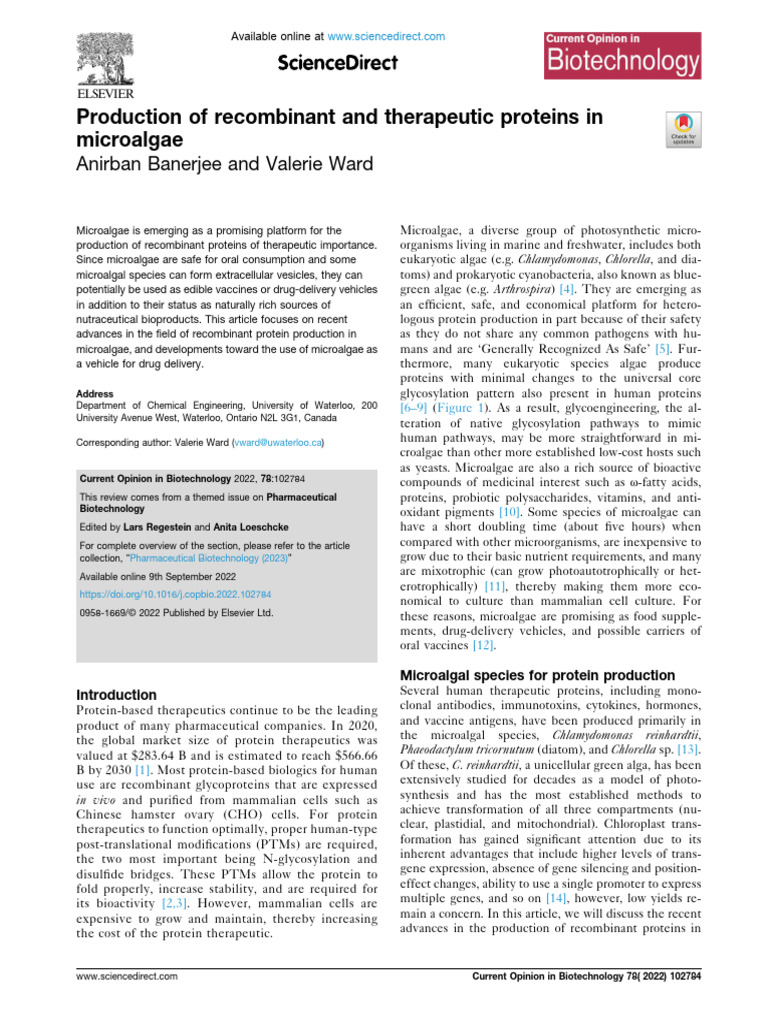 Production of Recombinant and Therapeutic Proteins in Microalgae | PDF ...