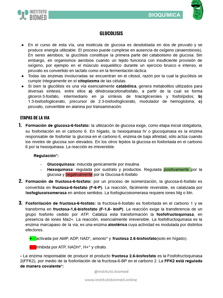 Glucólisis: Proceso y Etapas Clave | PDF | Glucólisis | Trifosfato de ...