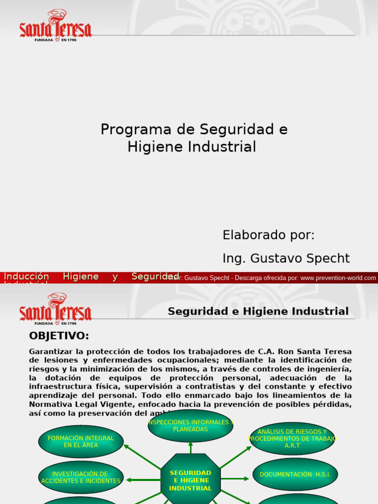 Programa de Seguridad | PDF | Higiene Ocupacional | Seguridad y salud ocupacional