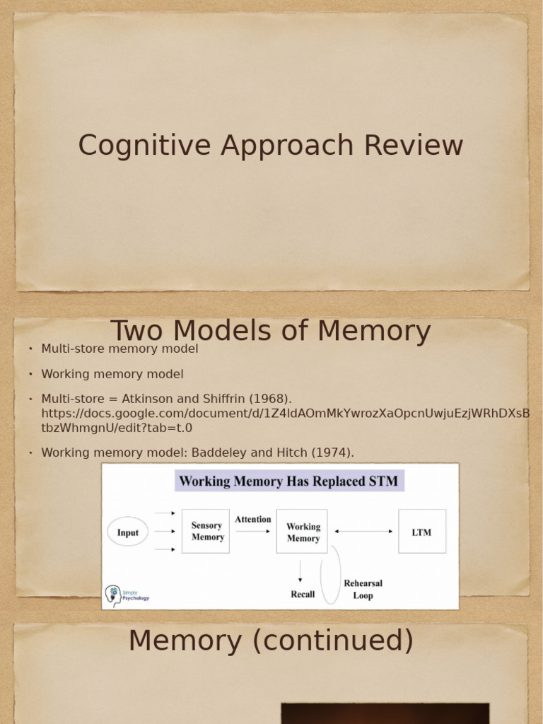 Cognitive Approach Review (Grade 12) | PDF | Memory | Schema (Psychology)