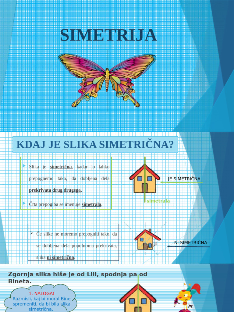 Simetrija, Skladni Liki, Črte, Točke | PDF