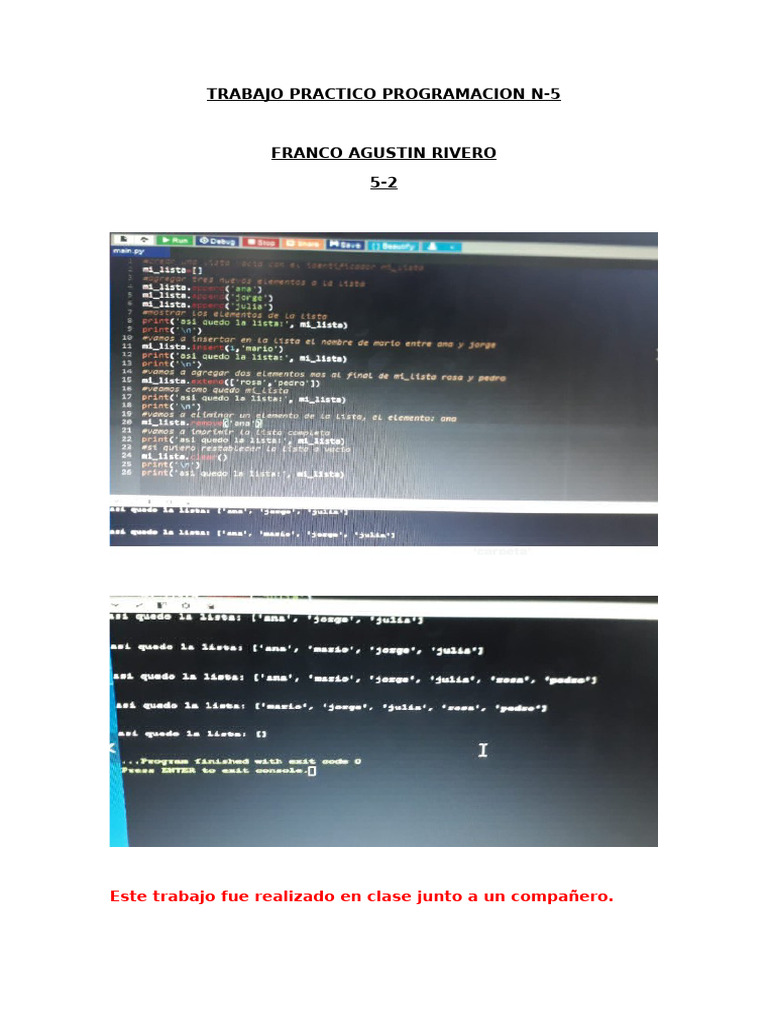 Trabajo Practico Programacion N-5 | PDF