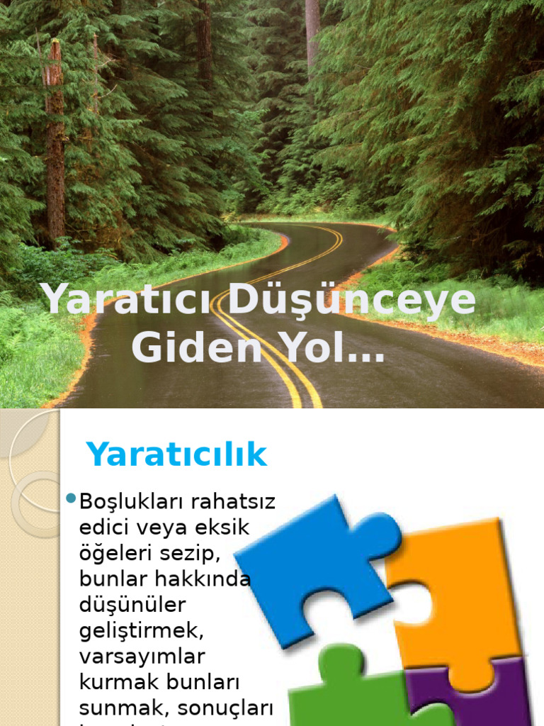 Yaratıcı Dusunce | PDF
