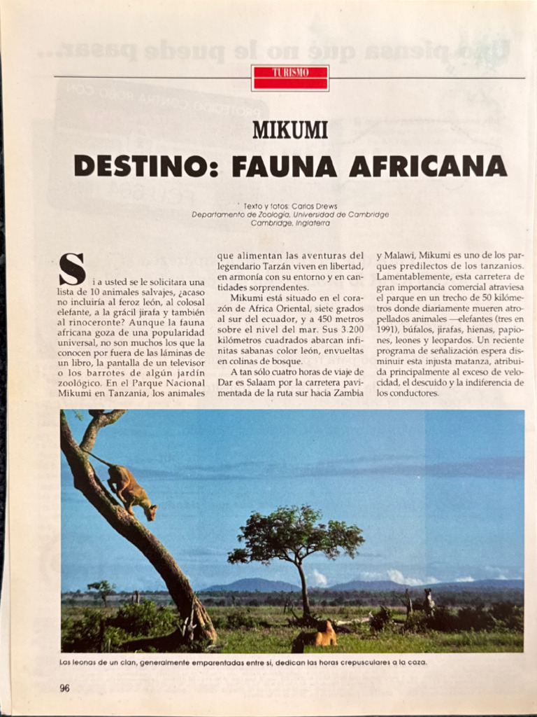 Drews Carlos 1992. Mikumi - Destino Fauna Africana. Revista Avianca No ...