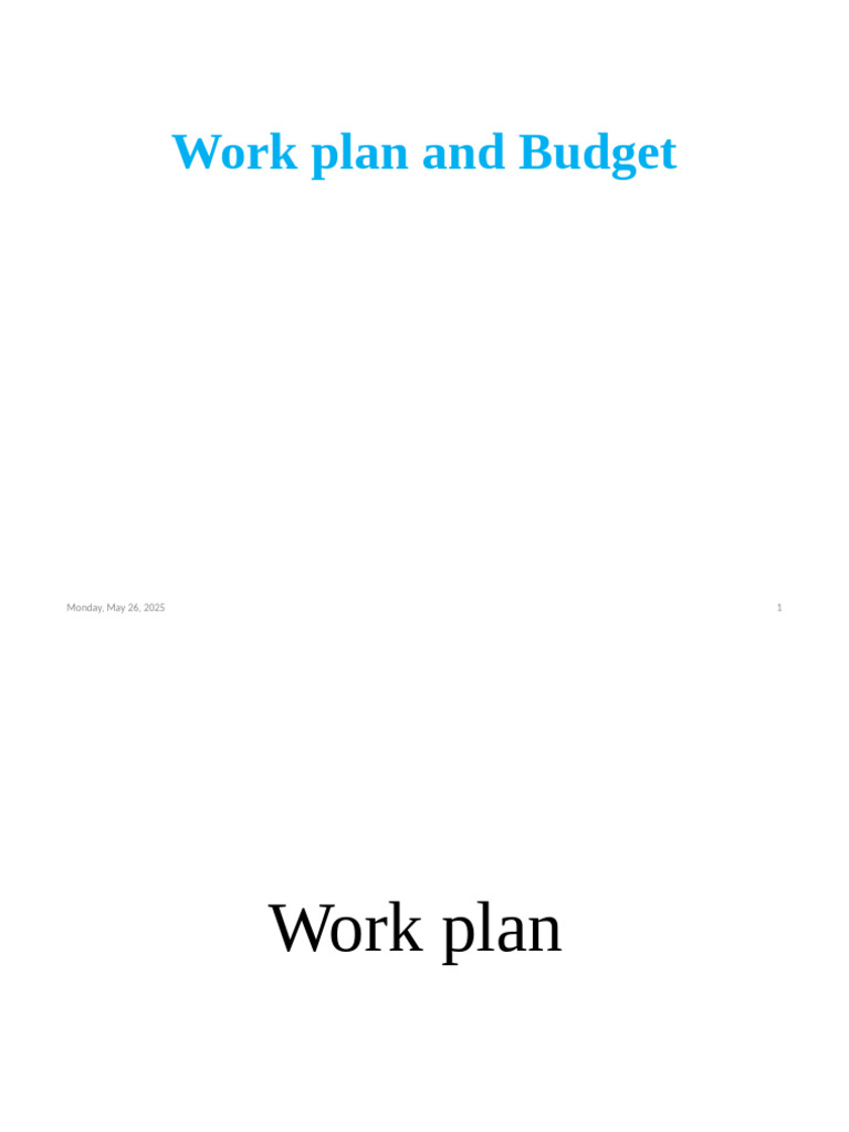 Work Plan and Budget | PDF | Budget