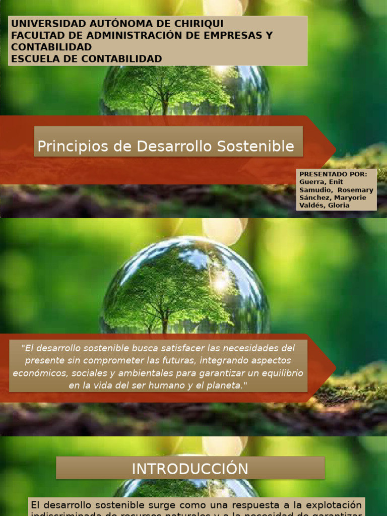 Principios de Desarrollo Sostenible | PDF | Desarrollo sostenible | Sustentabilidad