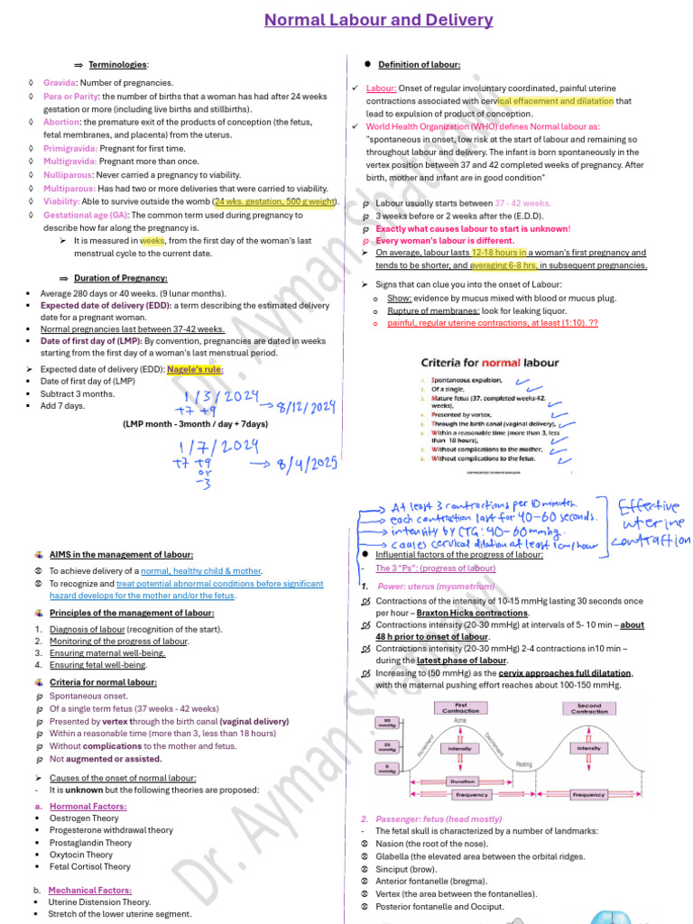 Understanding Normal Labour and Delivery | PDF | Childbirth | Pregnancy