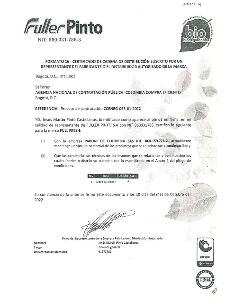 HDS Lavaloza Pinto | PDF