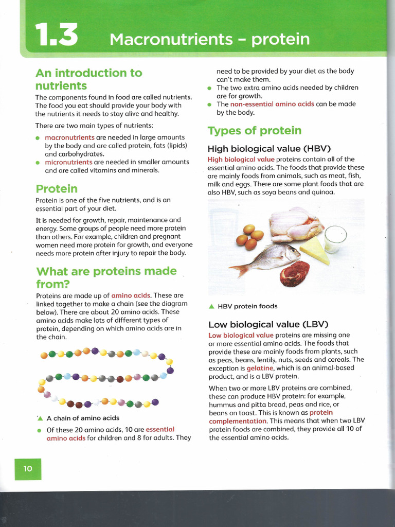 Macronutrients-1 243010934 | PDF