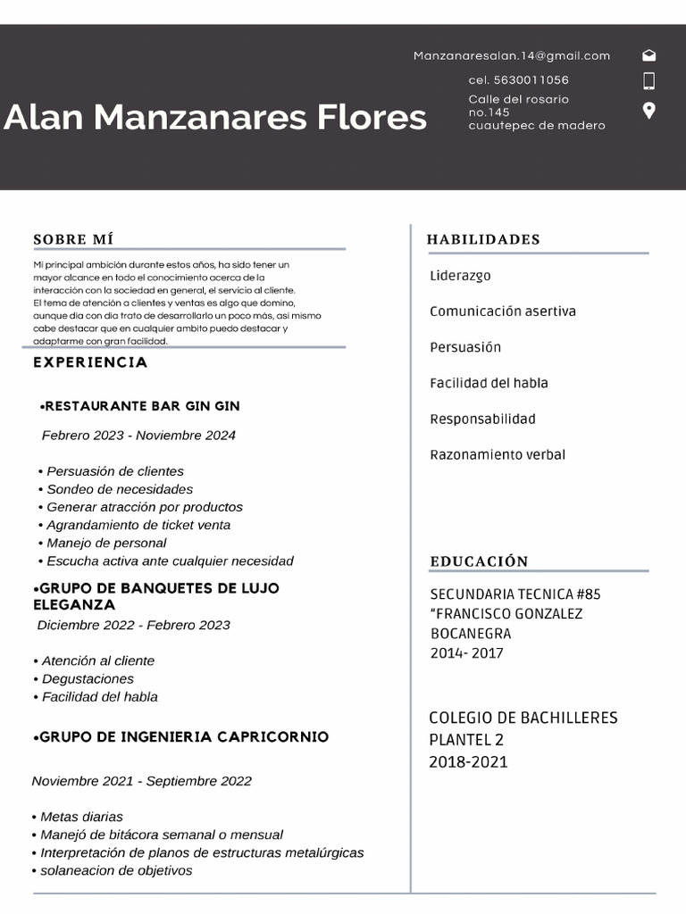 CV Alan MF | PDF