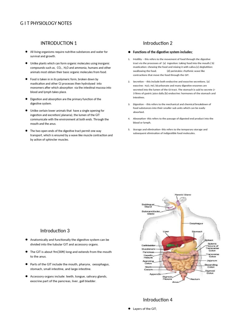 G I T Physiology Notes | PDF | Stomach | Gastrointestinal Tract