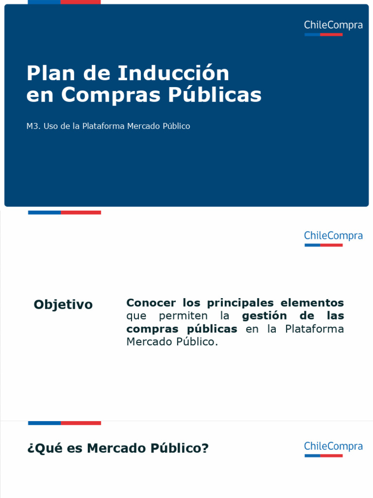 M3. Uso de La Plataforma Mercado Público | PDF | Mercado (economía ...
