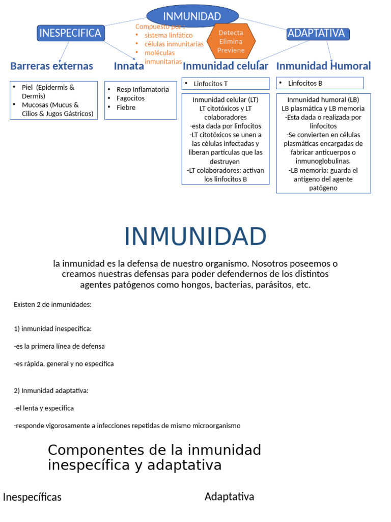 INMUNIDAD | PDF | Sistema inmune | Linfocitos