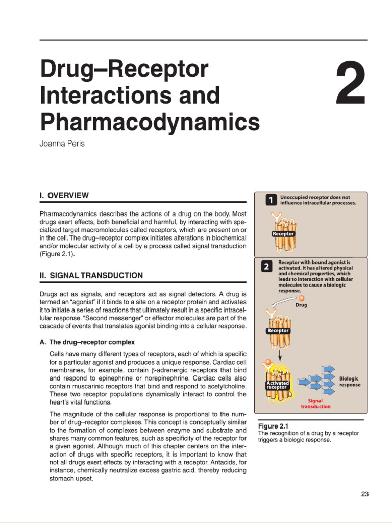 Drug-Receptor Interacciones | PDF | Cell Signaling | Receptor ...