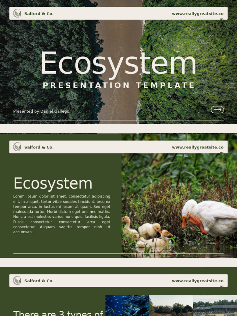 Green and Beige Ecosystem Presentation | PDF | Earth Sciences ...