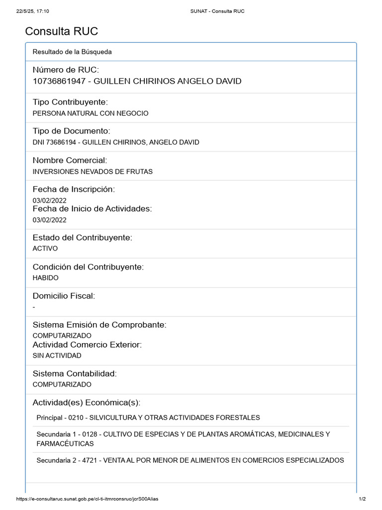 SUNAT - Consulta RUC | PDF