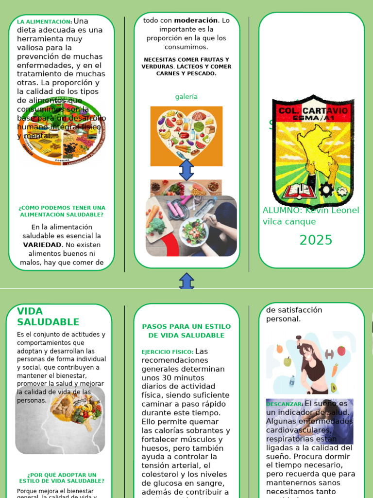 Triptico-de-la-Vida-Saludable | PDF | Alimentos