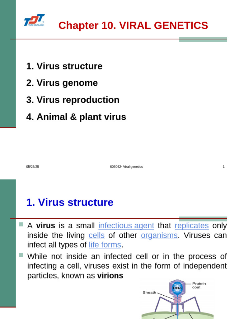 Chapter 10. Viral Genetics | PDF | Virus | Bacteriophage