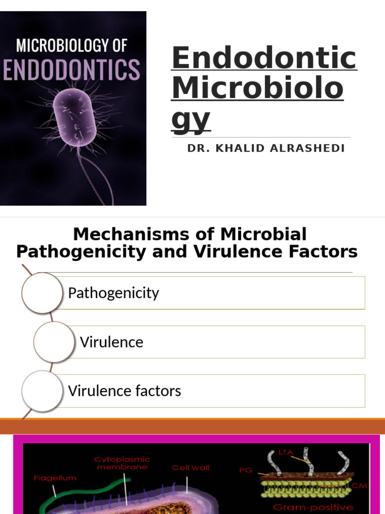 10 - Endodontic Microbiology | PDF | Bacteria | Biology