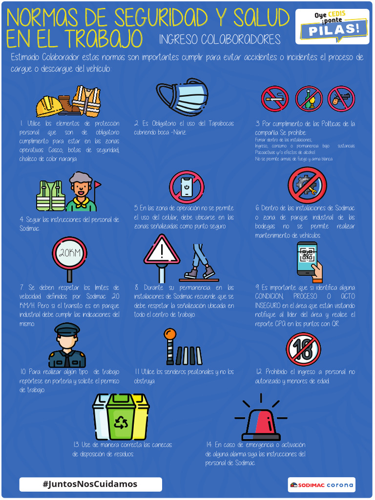 Normas SSTingresos Cedis | PDF