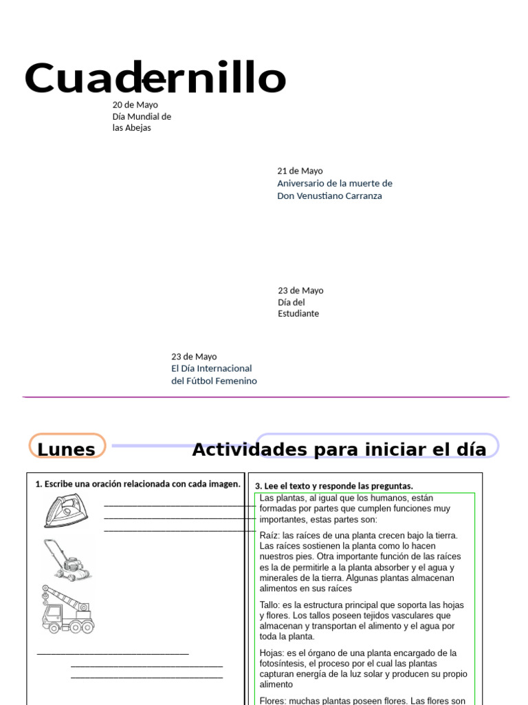 Cuad Parte 2 4° 2o o | PDF | Plantas | Raíz