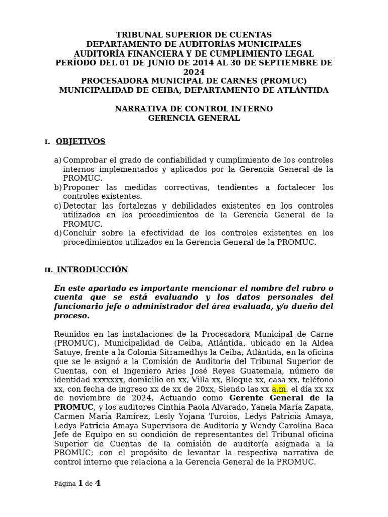 Narrativa de Control Interno Promuc | PDF | Auditoría | Regulación