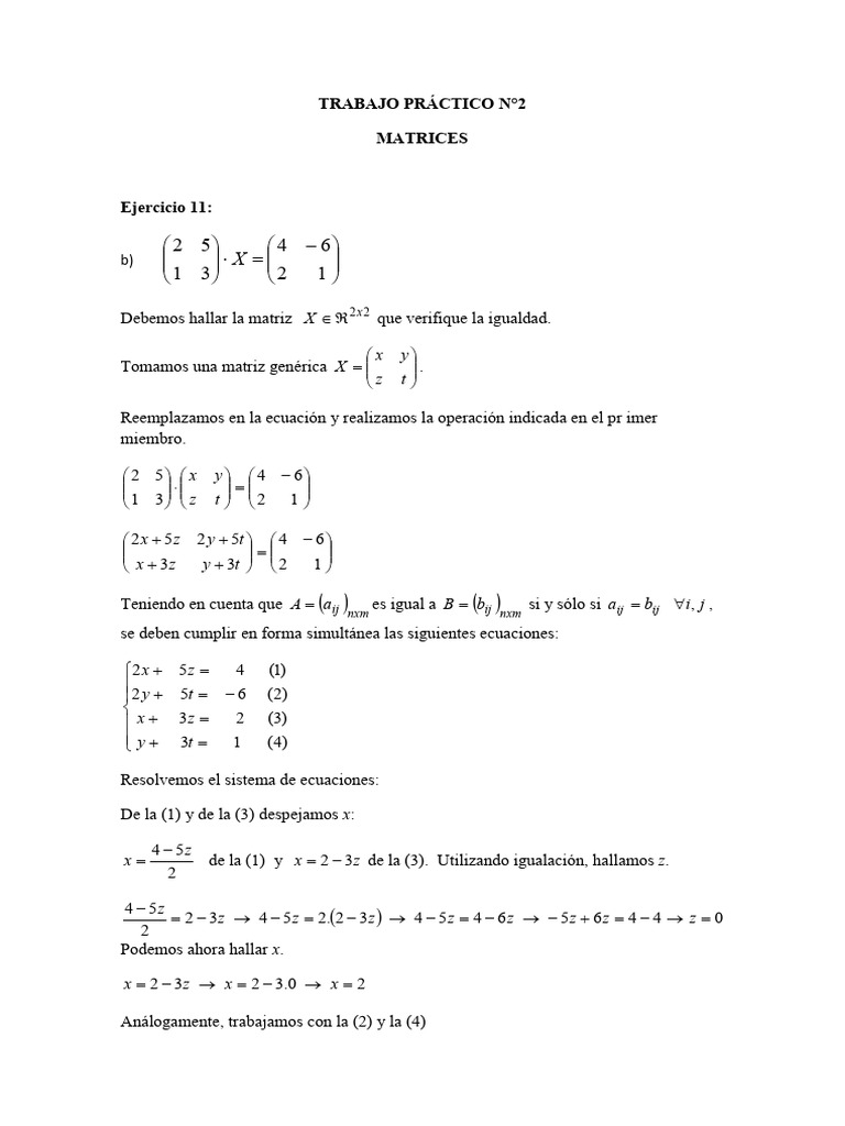 Matrices. Ejercicio 11 | PDF