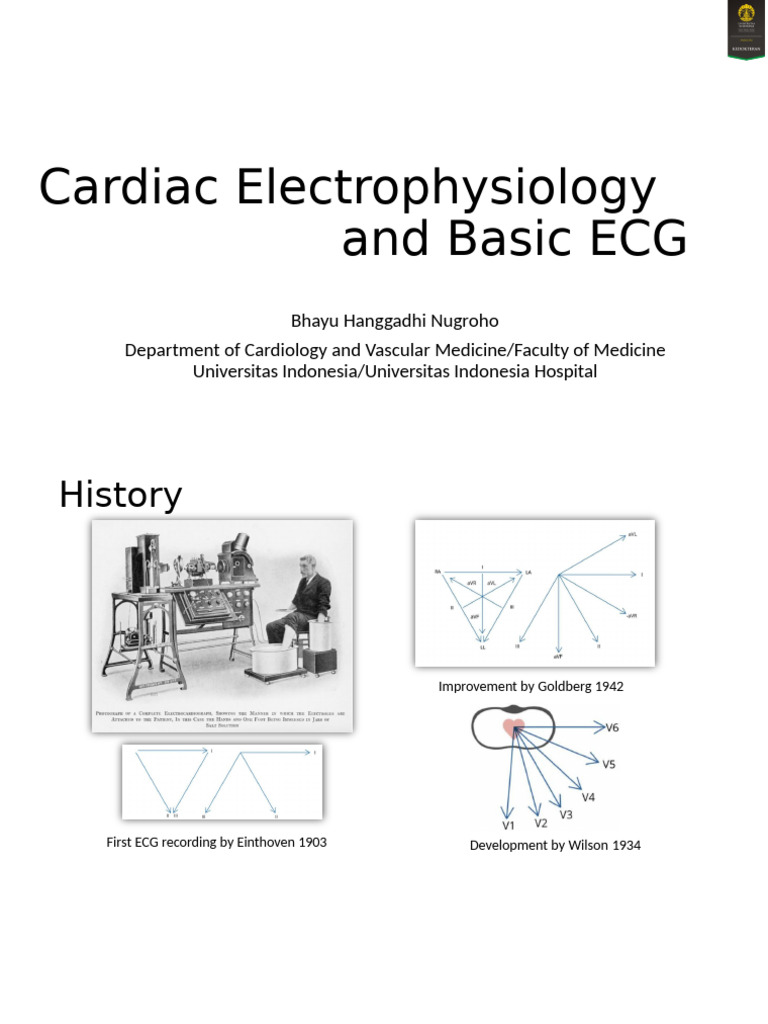 Dasar EKG Dan Interpretasi Secara Sistematik | PDF | Electrocardiography | Thorax (Human Anatomy)