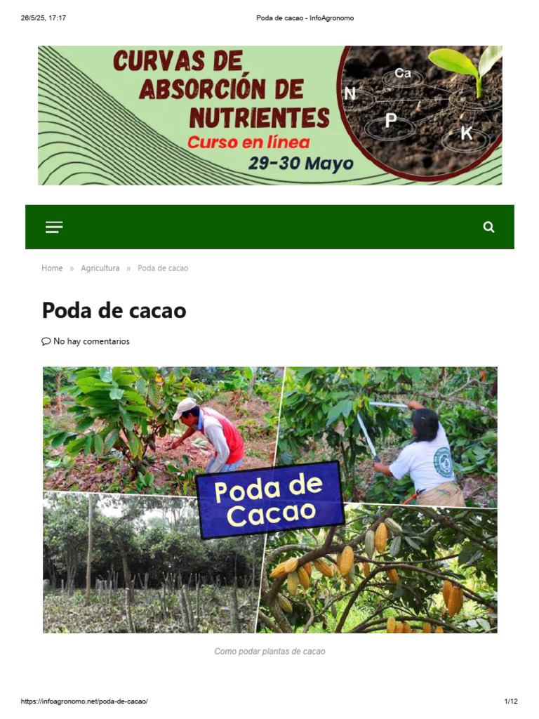 Poda de Cacao - InfoAgronomo | PDF | Agricultura | Plantas