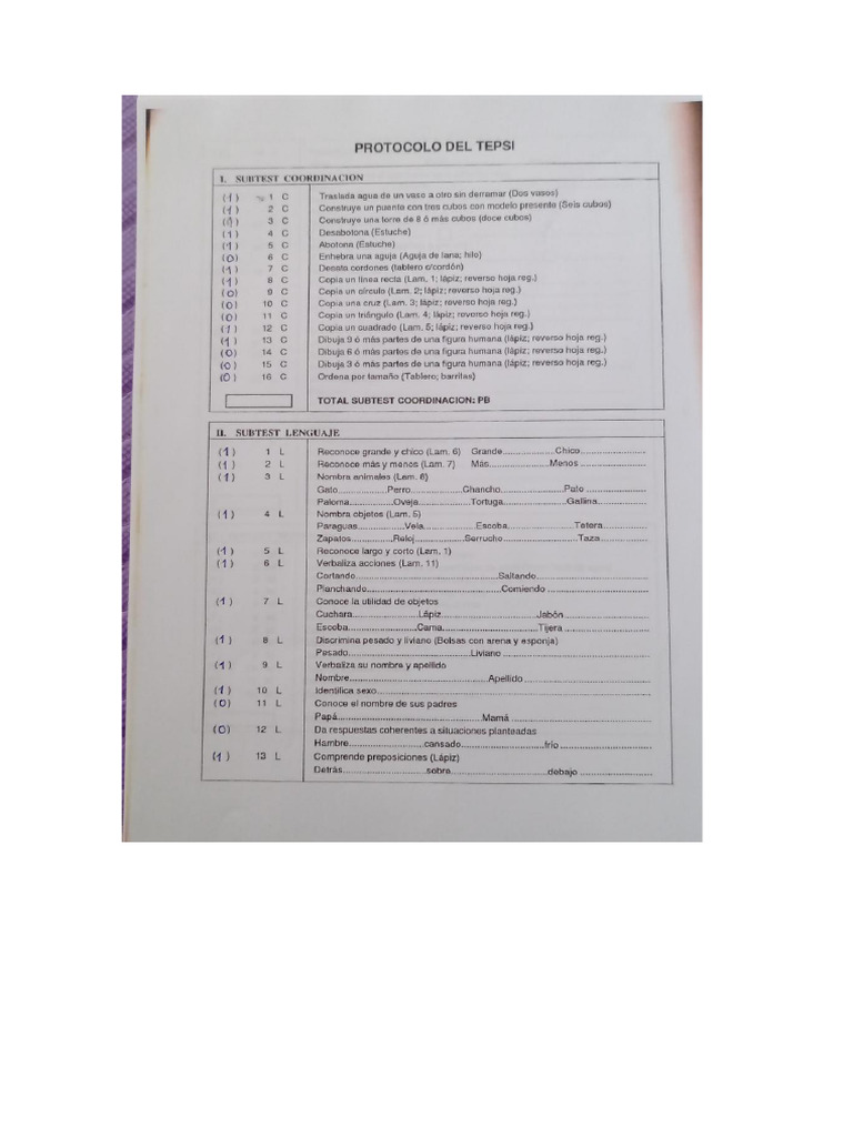 Formato de Evaluación TEPSI | PDF