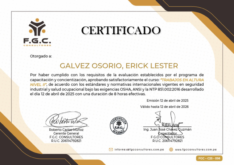 FGC C25 056 Galvez Osorio Erick Lester | PDF