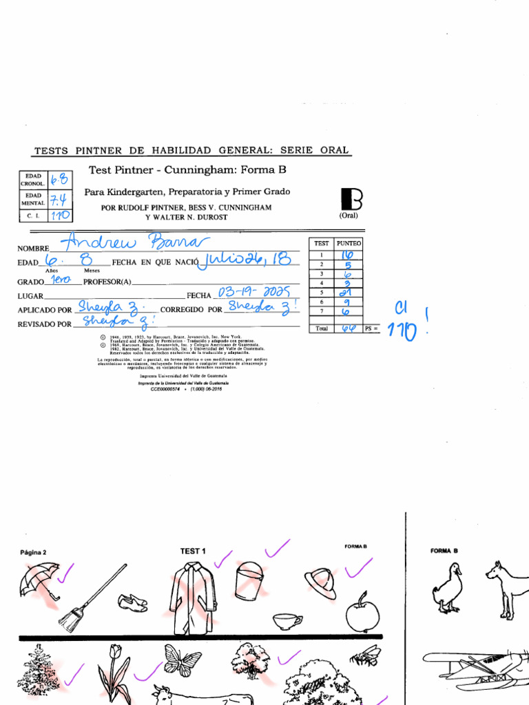 Open Open Test Pintner - Cunningham Forma B | PDF