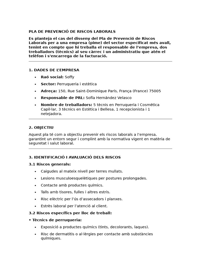 Ejemplo de Plan de PRL Empresa Imagen Personal | PDF