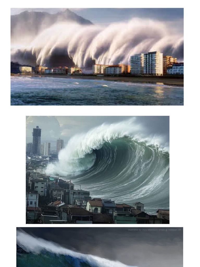 Tsunami 2 | PDF