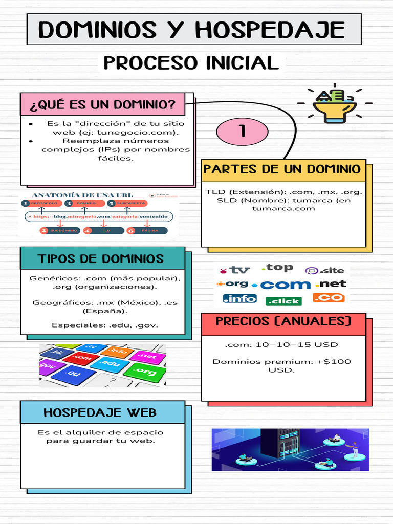Infografia Hospedaje Web y Dominio | PDF