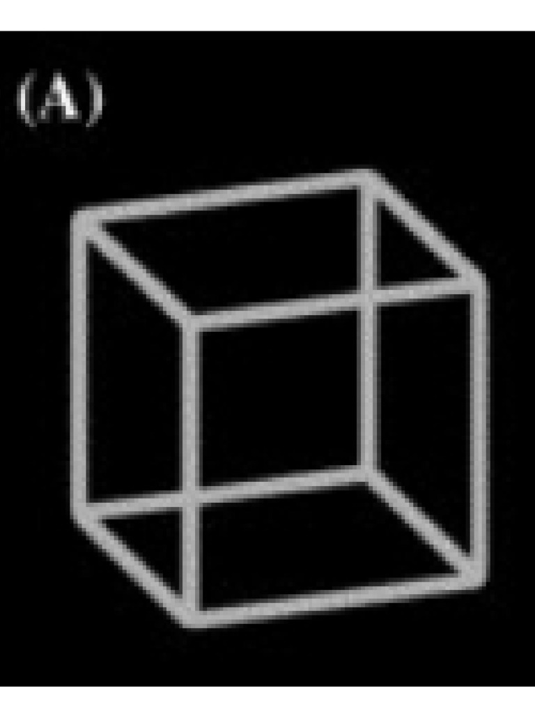 NEcker Cube ToK | PDF