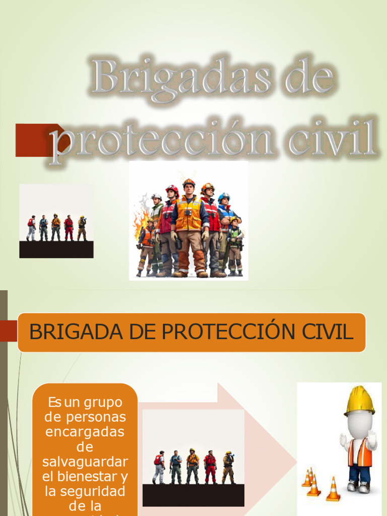 Brigadas de Proteccion Ambiental | PDF | Defensa Civil | Hospital
