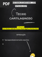 Questionário Do Hospital Saint George Na Doença Respiratória (SGRQ) | PDF