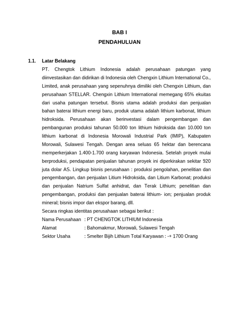 Dokumen PPBB PT Ctli | PDF