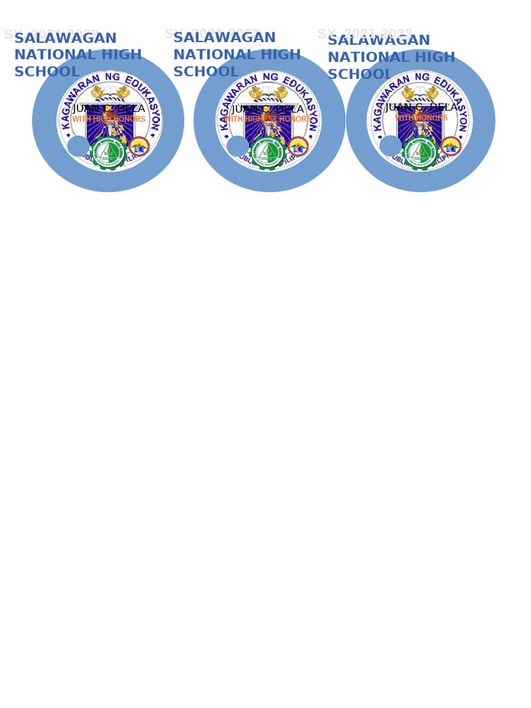 MEDALS Template | PDF