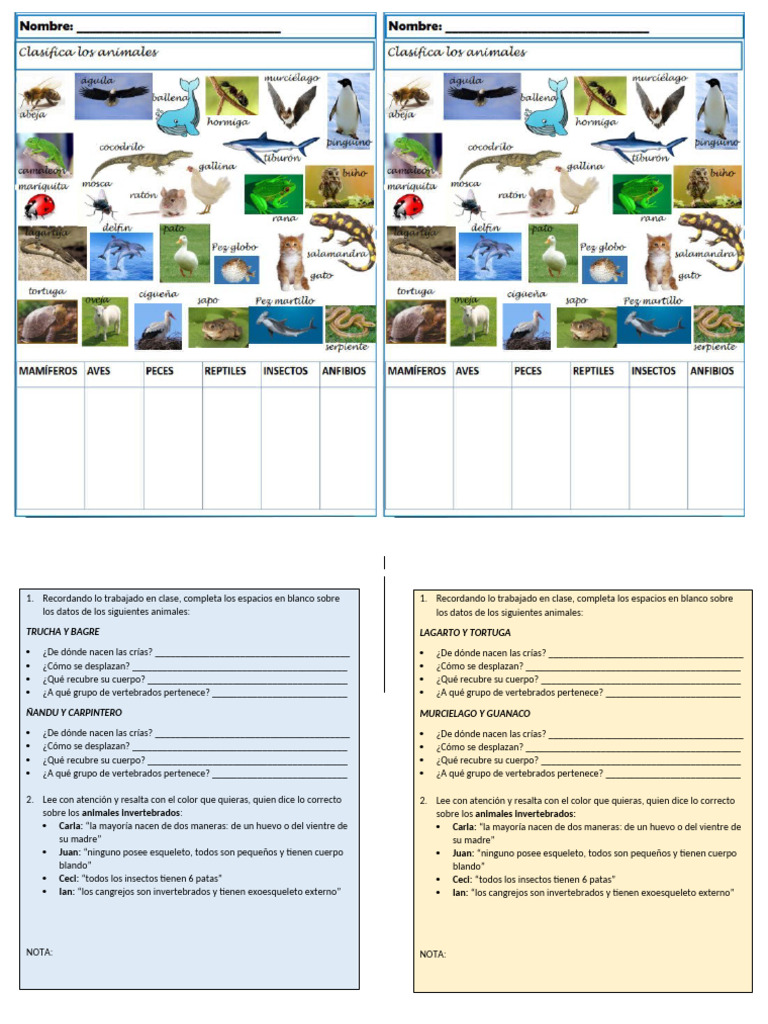 Clasificacion de Animales 4to | PDF | Zoología