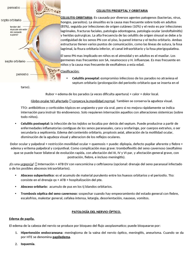 Celulitis Preseptal y Orbitaria: Causas y Tratamiento | PDF ...