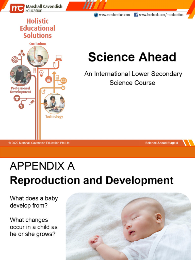 Reproduction and Development Overview | PDF | Menstrual Cycle ...