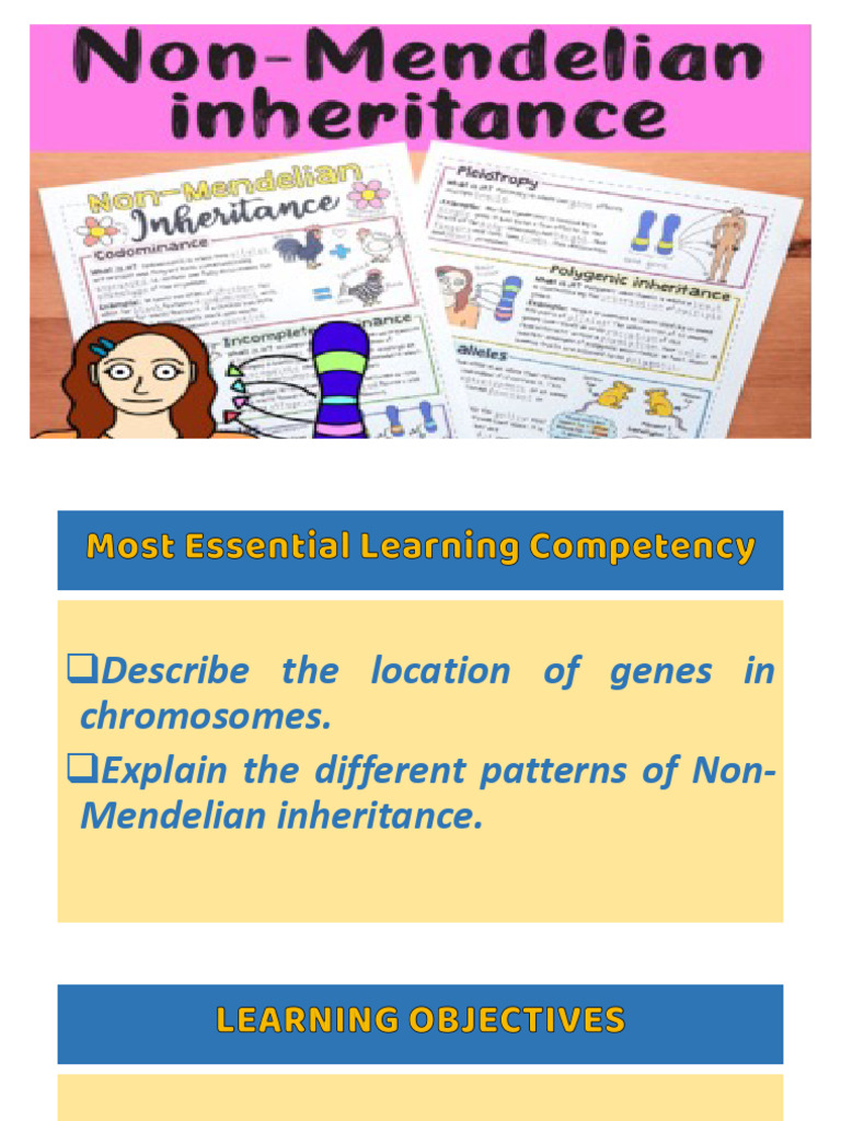 Incomplete-Codominance Lesson | PDF | Dominance (Genetics) | Genotype