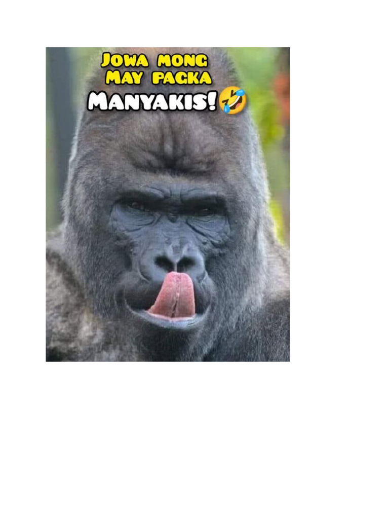Monkey | PDF