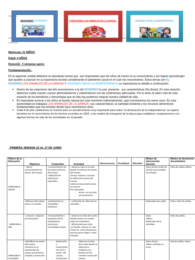 PLANIFICACION Mes Junio Julio Analia | PDF | Aprendizaje | Cognición