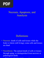 Proheart 12 Mixing and Dosing Guide | PDF | Dose (Biochemistry) | Chemistry