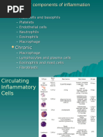 Inflammatory Response Flowchart | PDF | Inflammation | Medicine