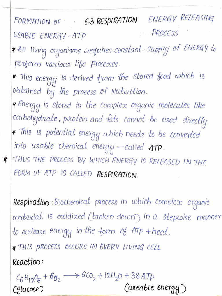 Life Process (Respiration) | PDF | Cellular Respiration | Respiratory ...