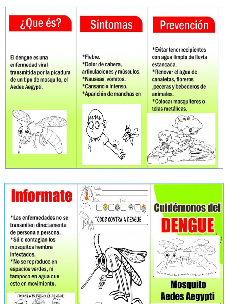Tríptico Aedes | PDF